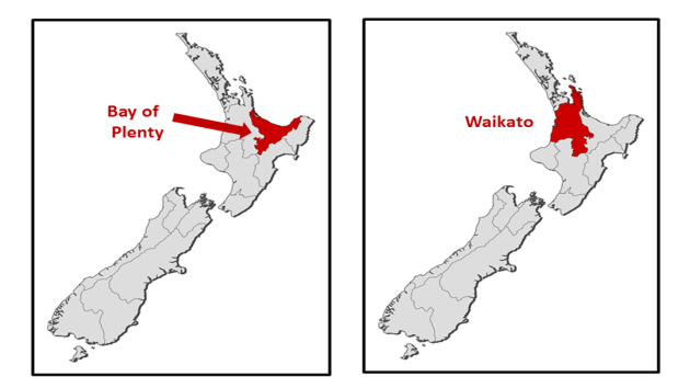 Poverty Bay and the Bay of Plenty | The Bubbly Professor