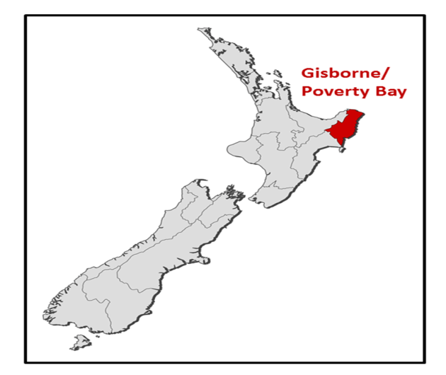 Poverty Bay and the Bay of Plenty | The Bubbly Professor
