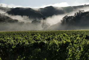 Poverty Bay and the Bay of Plenty | The Bubbly Professor