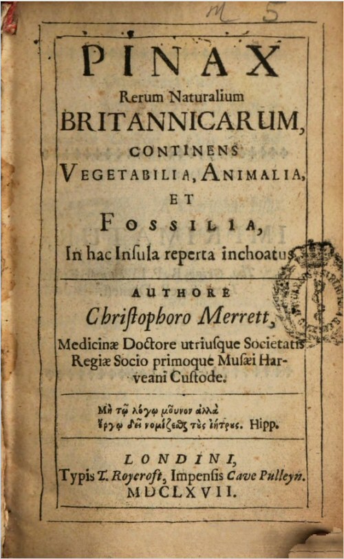 Butterflies, Bubbles, and Birds: Christopher Merrett | The Bubbly Professor