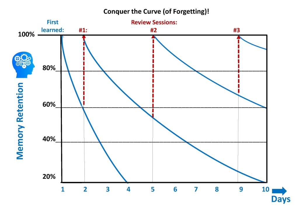 Spaced Repetition: Conquer the Curve of Forgetting | The Bubbly Professor