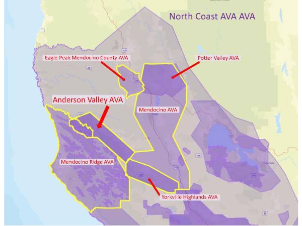 Five Fast Facts | The Bubbly Professor