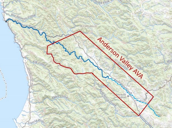 Five Fast Facts | The Bubbly Professor