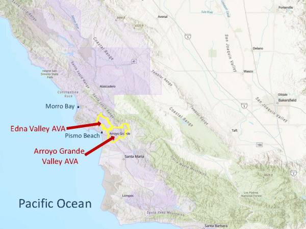 Five Fast Facts | The Bubbly Professor